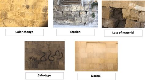 A Sample Of Images Used In The 5 Class Model Download Scientific Diagram