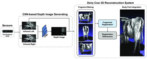 The Dairy Cow 3d Reconstruction Framework Download Scientific Diagram