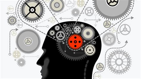 Association And Memory Meer