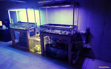 Building Six Bulb T5 Fixture With Three Retrofit Kits Reef2reef