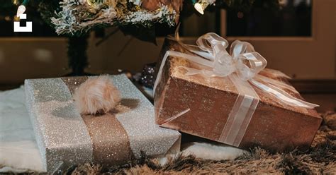 흰색과 갈색 선물 상자 사진 Unsplash의 무료 식물 이미지