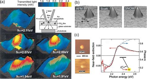 Scanning Near Field Optical Microscopy Of Nanoplasmonic Fields A