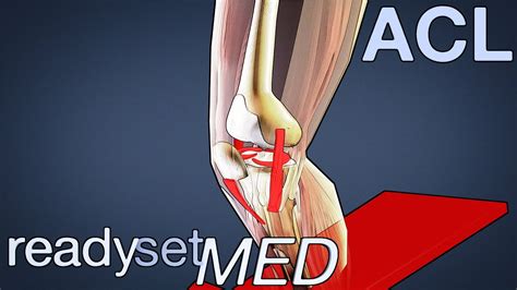 What Role Does The Acl Play In Sports Acl Series Youtube