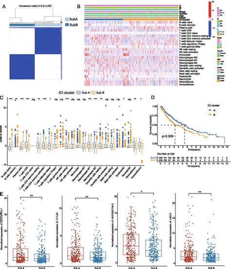 Identification Of Immune Molecular Subtypes And Characteristics Of Download Scientific Diagram