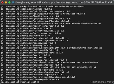 个人导航（webstack Go V2网址导航）项目全流程部署 Csdn博客