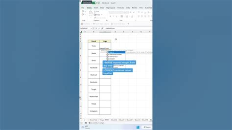 How To Import Logos Into Excel Excel Exceltips Exceltricks