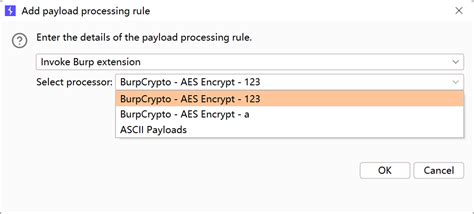 rsa添加后无任何提示测试aes正常 Issue 32 whwlsfb BurpCrypto GitHub