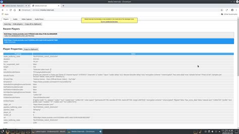 How Do I Fix Chromium Based Browser Lags Applications EndeavourOS