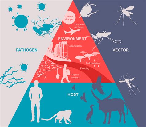 Specific Project 5 Vebdisease Dteclimate
