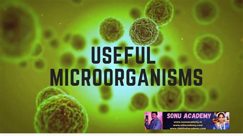 Useful Microorganisms