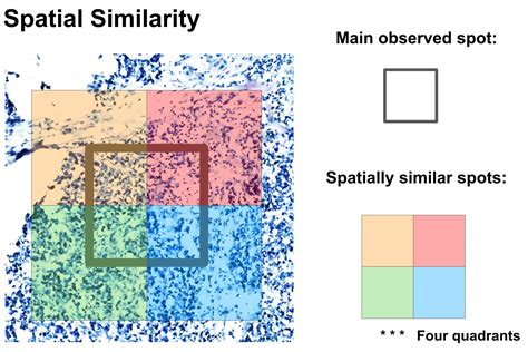 Analysis Of Spatial Transcriptomic Data • Genecoder