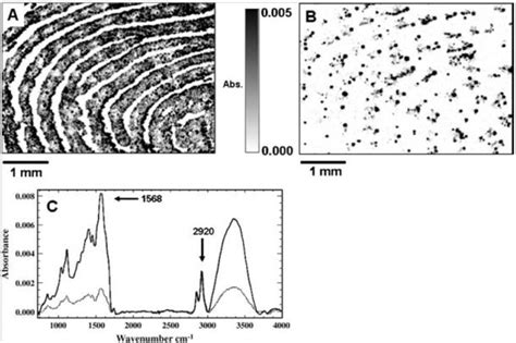 Figure 8 From Hyperspectral Imaging For Non Contact Analysis Of Forensic Traces Semantic Scholar