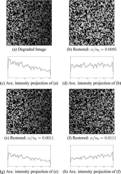 Restoration Of A Synthetically Degraded Image ~a Shows The Degraded Download Scientific