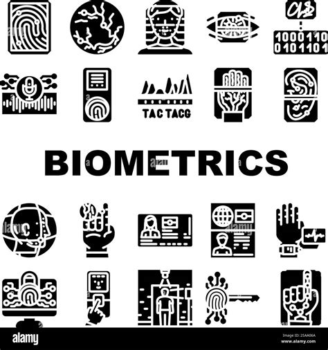 Biometrics Authentication Scan Icons Set Vector Identification Fingerprint Iris Retina Voice