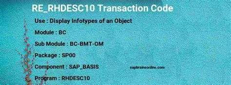 RE RHDESC10 SAP Tcode For Display Infotypes Of An Object