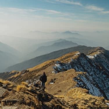 Address Lookup Api Postcoder