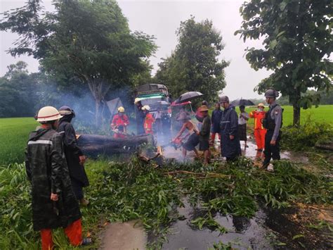 ကျုံပျော်မြို့နယ်တွင် လေပြင်းတိုက်ခတ်မှုကြောင့် သစ်ပင်လဲကျမှုအား တာဝန်ရှိသူများက အချိန်နှင့်တပ