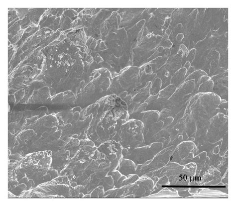 Sem Figure Of Fracture Surfaces Of Specimens Deformed At Different