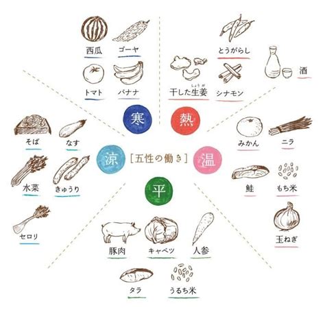 Medical Drawings Body Health Traditional Chinese Medicine