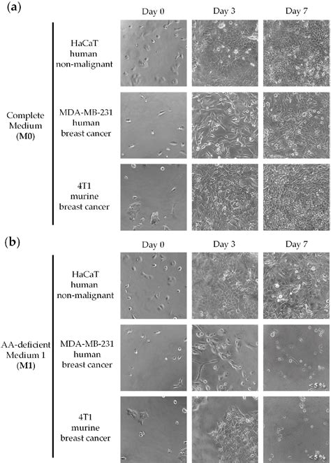 Figure 1 From Artificial Diets With Selective Restriction Of Amino Acids And Very Low Levels Of