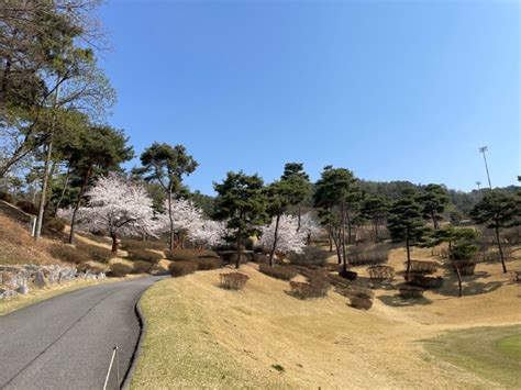 써닝포인트cc 라운드 후기 코스 난이도