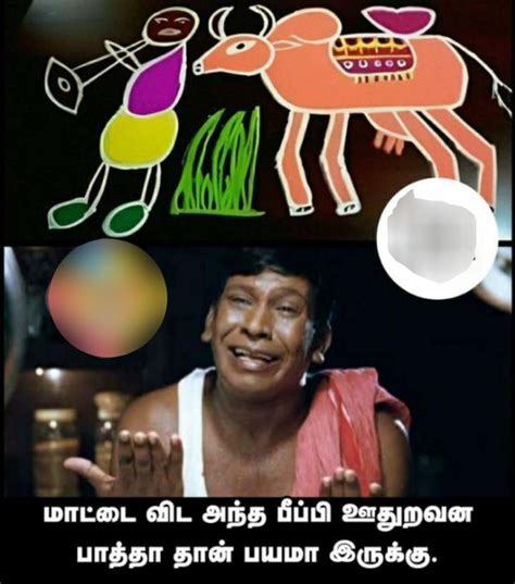 குத்துமதிப்பா மாட்டைக்கூட ஏத்துக்கலாம் ஆனா அந்த கன்னுக்குட்டியை நினைச்சாதான் கண்ணு கலங்குதுபா