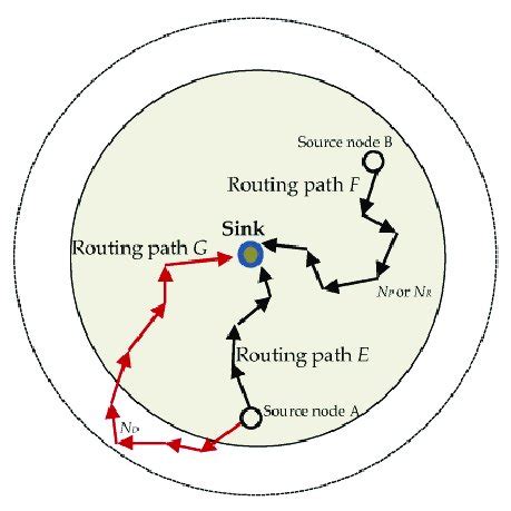 Routing Paths For Shortest Path Routing Path E Phantom Single Path Download Scientific