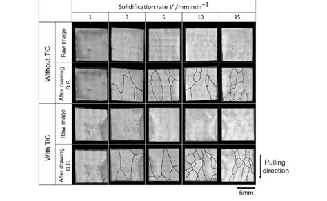 Directionally Solidified Ti6al4v Microstructure With And Without Tic