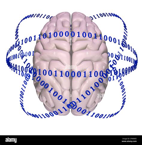 Illustration Of A Human Brain Surrounded By Binary Code Stock Photo Alamy