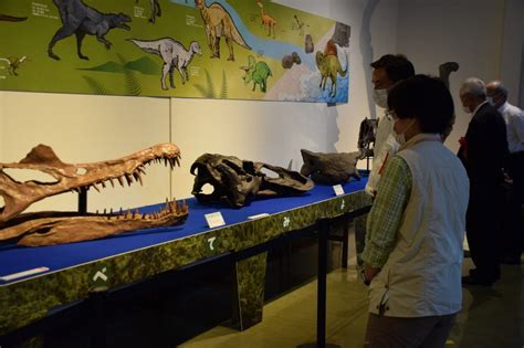 県立山口博物館で特別展「生物の進化と恐竜ワールド」9月22日まで【山口】｜宇部日報デジタル Saratto