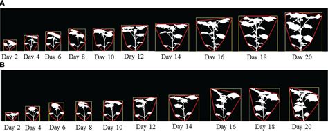 Frontiers Drought Stress Prediction And Propagation Using Time Series Modeling On Multimodal