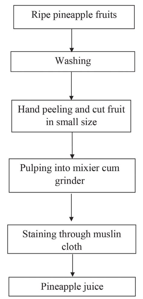 Flow Chart For Extraction Of Pulp From Pineapple Fruit Download