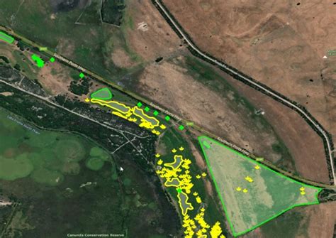Summit Biosecurity Helps Combat Weeds And Pests Spatial Source