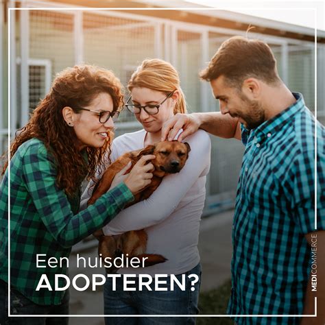 Dierenartsenpraktijk Curia Dierenartsenpraktijk Curia