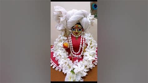 लड्डू गोपाल को रात्रि मे कैसे सुलाना चाहिए प्रेमानंदजीमहाराज जी बता रहे हैं 🙏🙏 बेस्ट मोटिवेशन