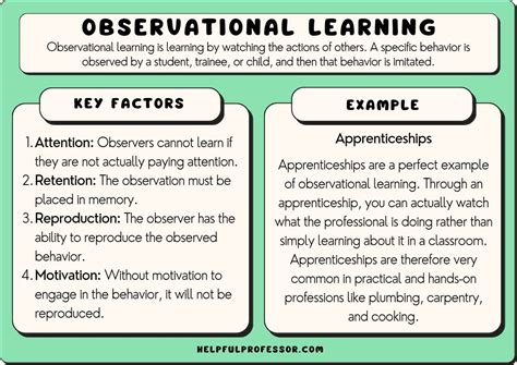 Observational Learning Process