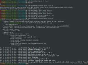 Install Squid Proxy Server On Ubuntu LTS NixCraft