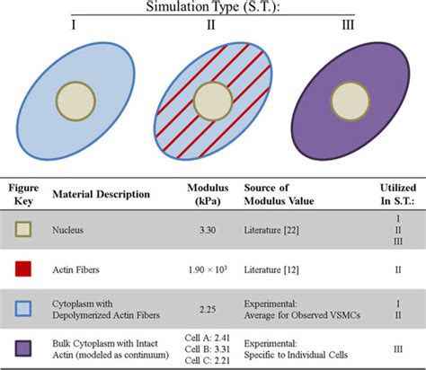 Material Models Of The Three Different Simulation Types Used In This