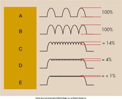 Applied Biophysics Ripple Frequency Diagram Quizlet