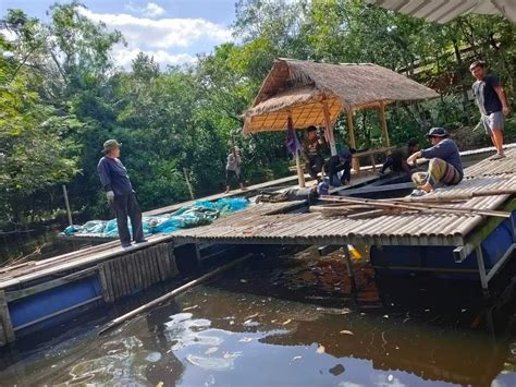 🤝 ภาพบรรยากาศ มหาลัยคอกหมู ศูนย์กสิกรรมธรรมชาติมาบเอื้อง