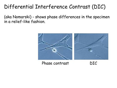 Ppt Resolution Resolving Power Powerpoint Presentation Free
