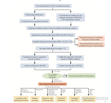 基于1619个脑胶质瘤样本的转录组学特征揭示与免疫相关的核心基因和模块 知乎