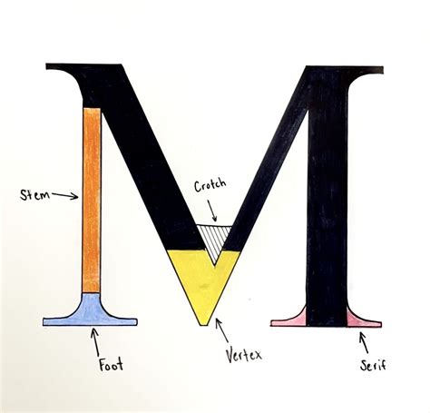 Letter Anatomy Ashley Jo George