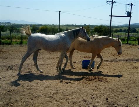 Celeste Barnard In The City Cape Town