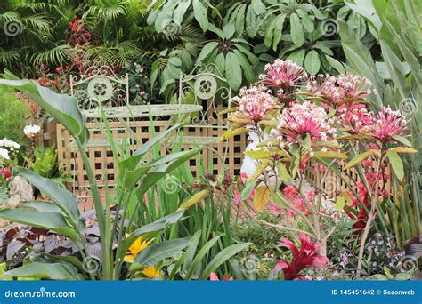 Exhibici N Floral En El Tiempo De Primavera Hong Kong Foto De Archivo Imagen De Coloreado