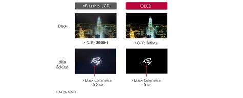 LG OLED Introduction To OLED Technology EU DSL Partner Network