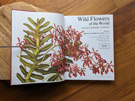 1970 Wild Flowers Of The World Paintings By Barbara Everard Sold