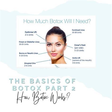 The Basics Of Botox Part 2how Estetica Spa And Boutique