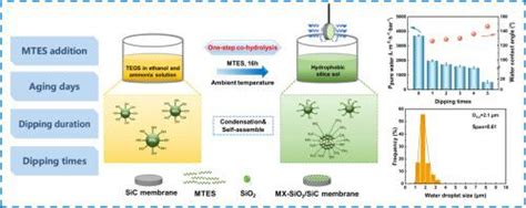 定制疏水性sio2sic膜的表面润湿性和孔结构，用于高效制备单分散乳液applied Surface Science X Mol