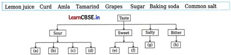 Exploring Substances Acidic Basic And Neutral Class 7 Worksheet With